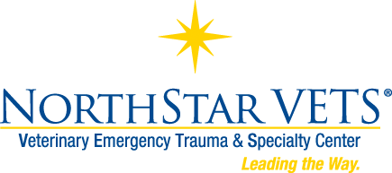 NorthStar VETS Website Portal Login